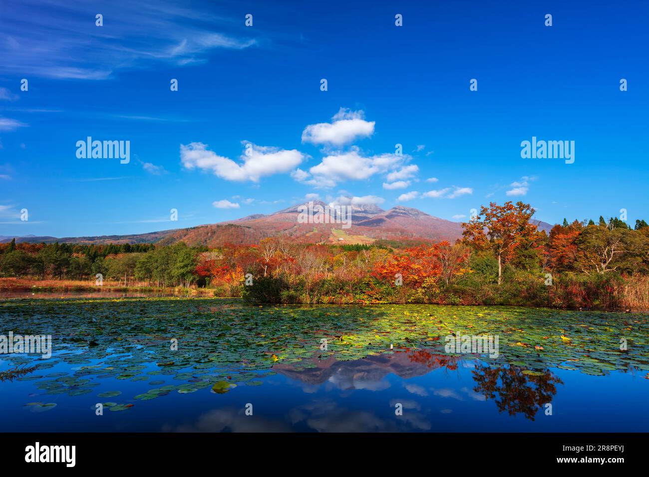 Mt. Myoko and Imori-ike Pond Stock Photo - Alamy