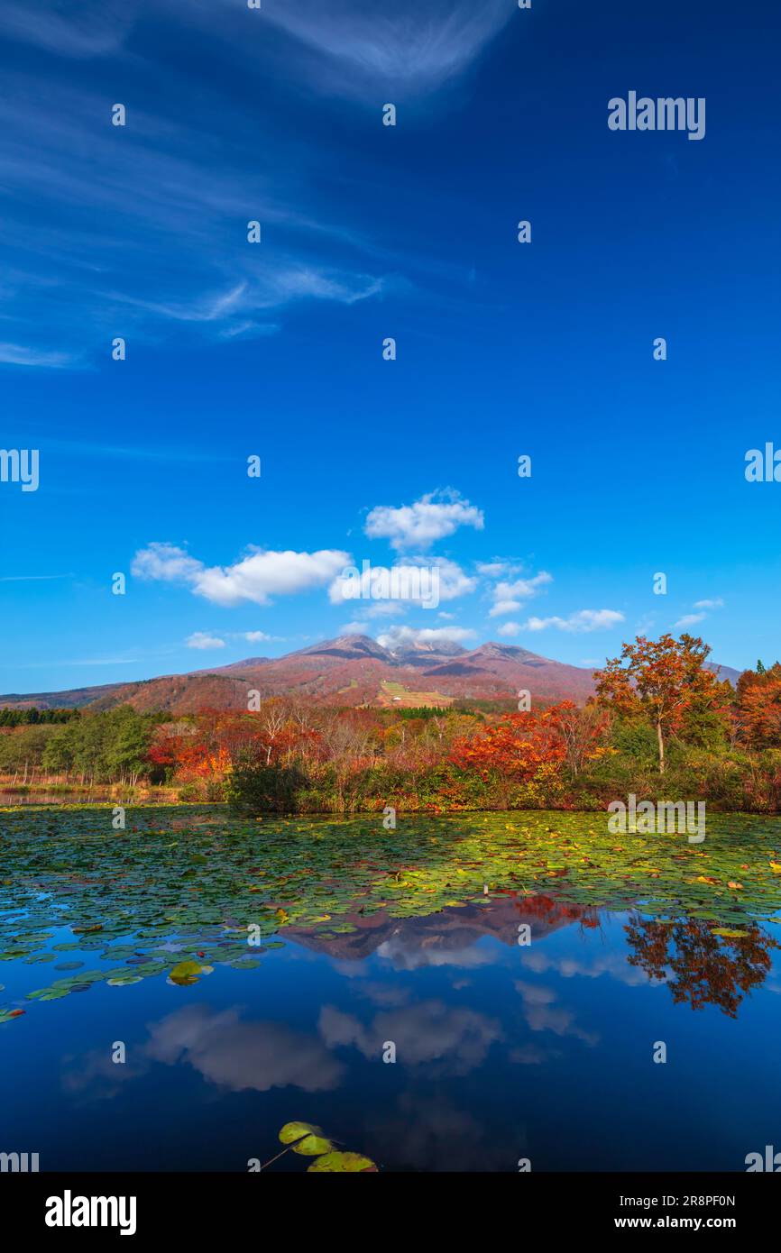 Mt. Myoko and Imori-ike Pond Stock Photo - Alamy