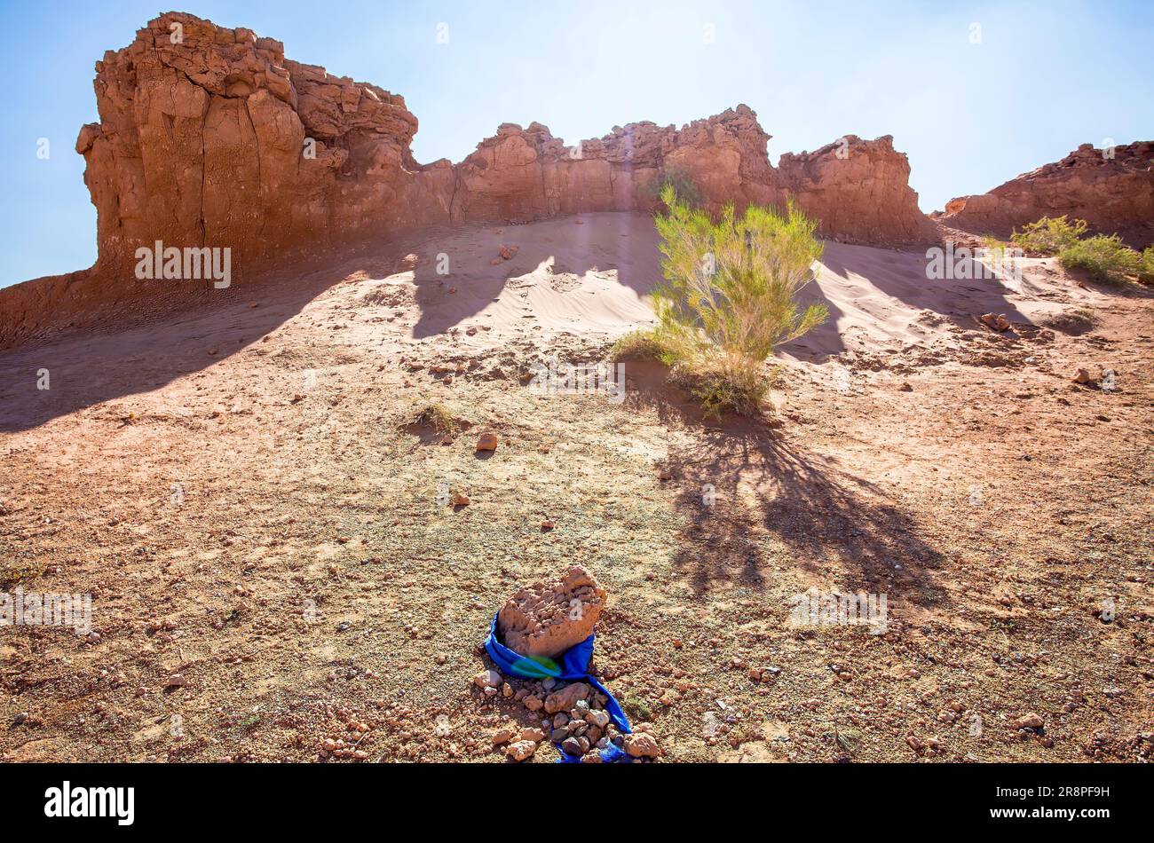 Dinosaur protection hi-res stock photography and images - Alamy