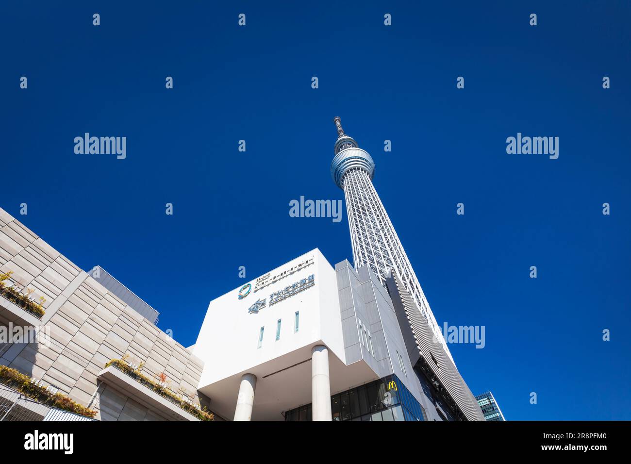 Tokyo skytree aquarium hi-res stock photography and images - Alamy