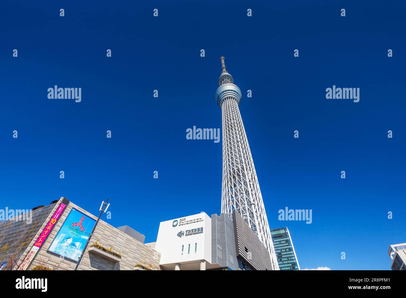 Tokyo skytree aquarium hi-res stock photography and images - Alamy