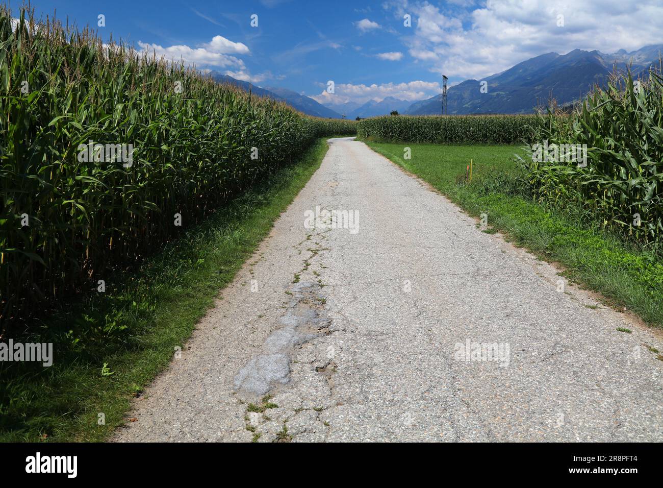 Drava River long distance bicycle path (Drauradweg) near Spittal an der ...