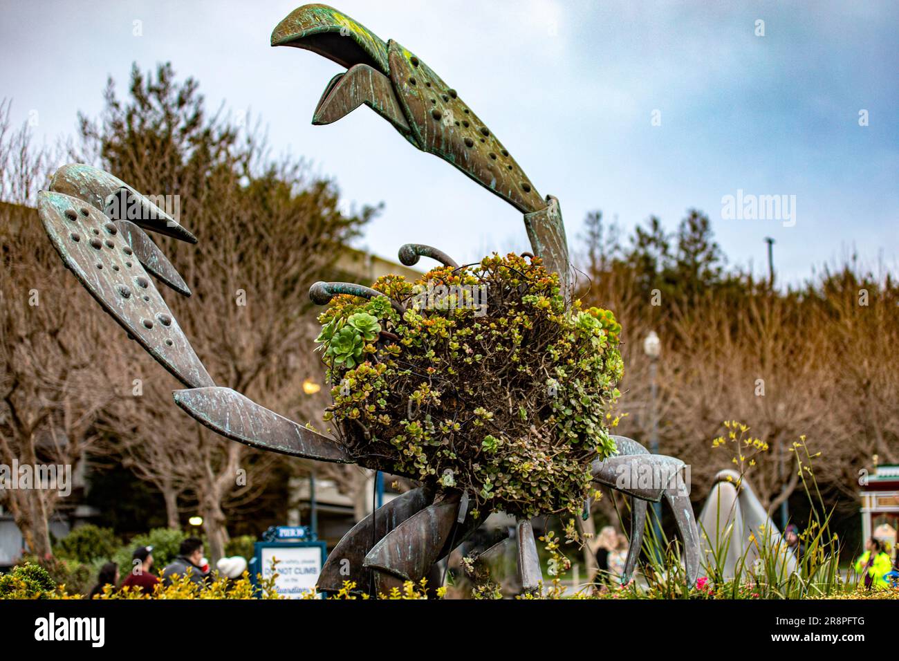 Topiary Crab Sculpture at pier 39 of the Fisherman's Wharf in San ...