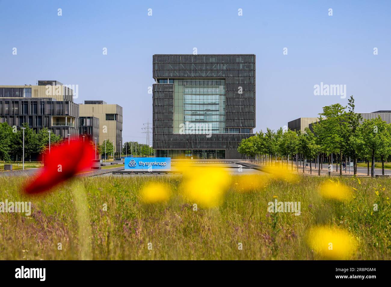 Essen, North Rhine-Westphalia, Germany - ThyssenKrupp, company logo in ...