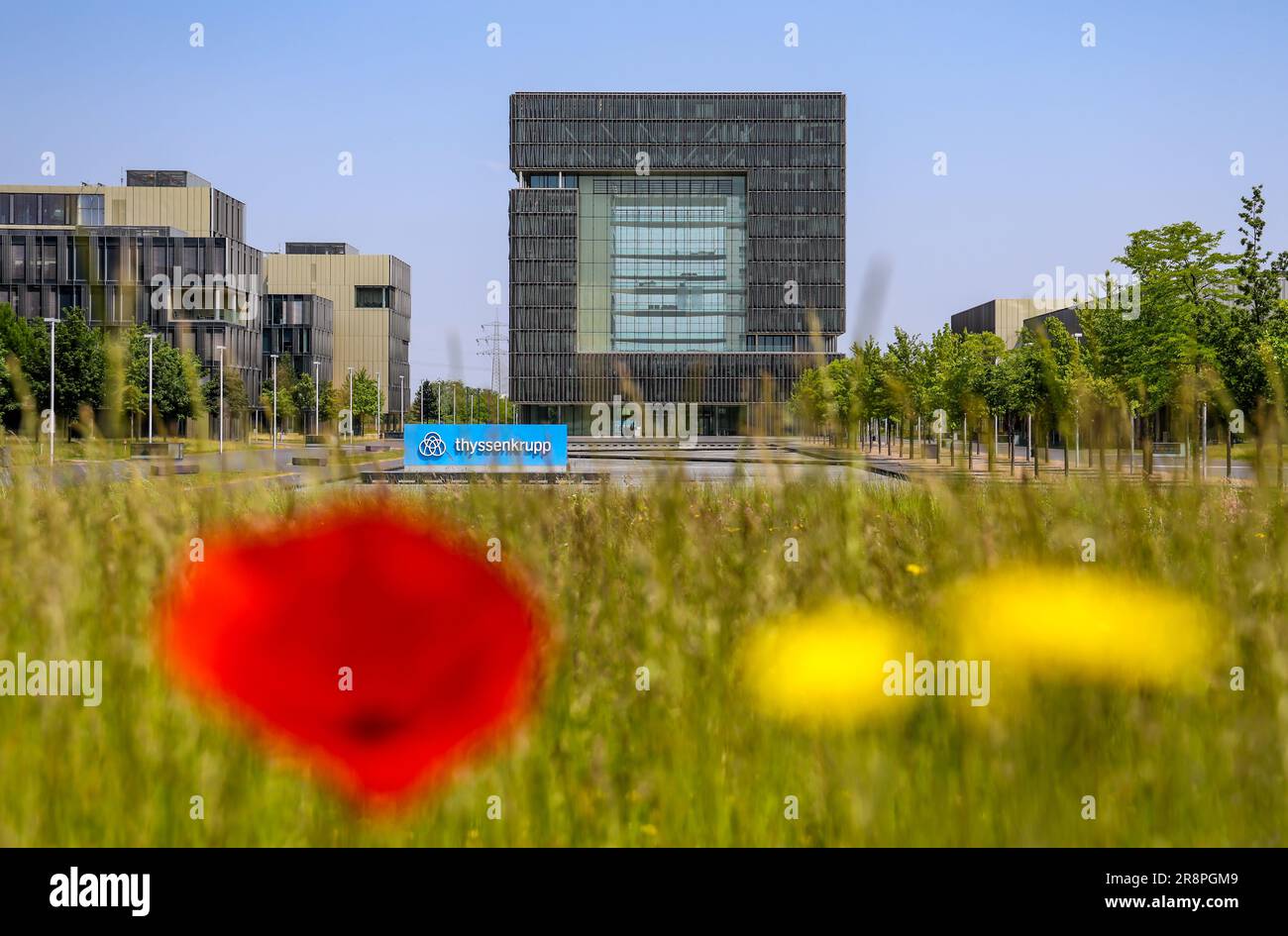 Essen, North Rhine-Westphalia, Germany - ThyssenKrupp, company logo in ...