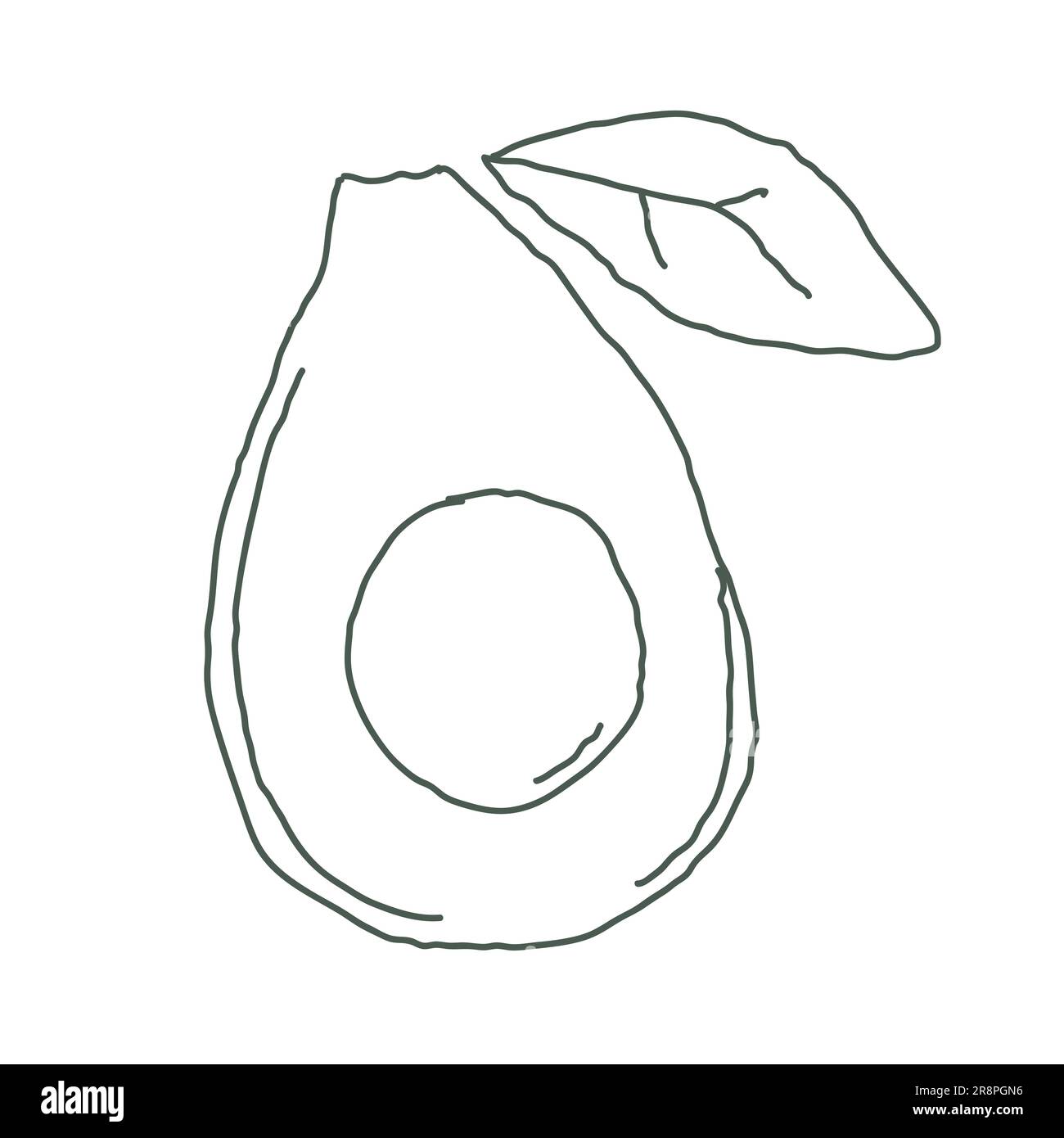 Hand drawn doodle avocado icon. Simple fruit with the leave and a bone ...