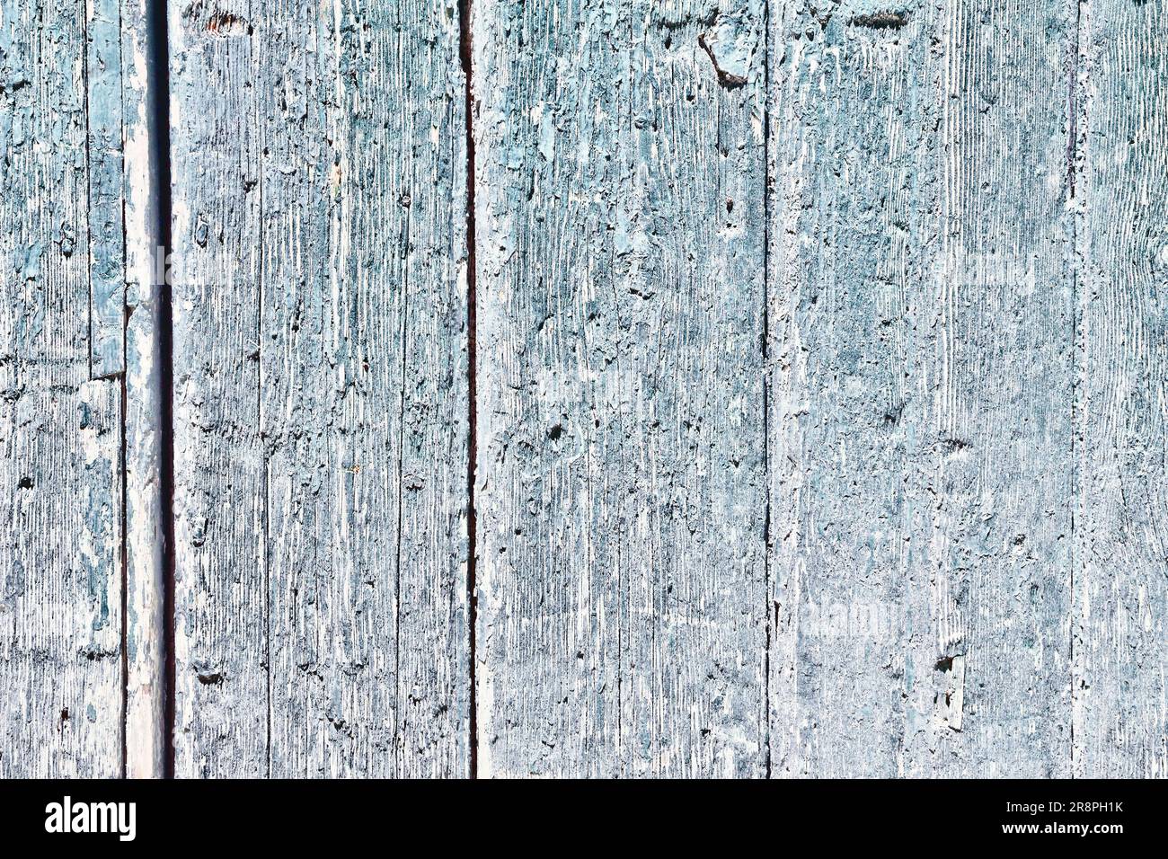 Bright distressed wood texture. White distressed wooden door boards ...