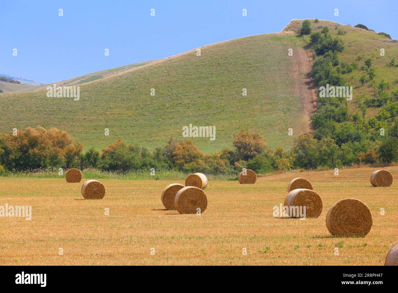 Harvest time in Italy - straw bales in a field in Basilicata region ...