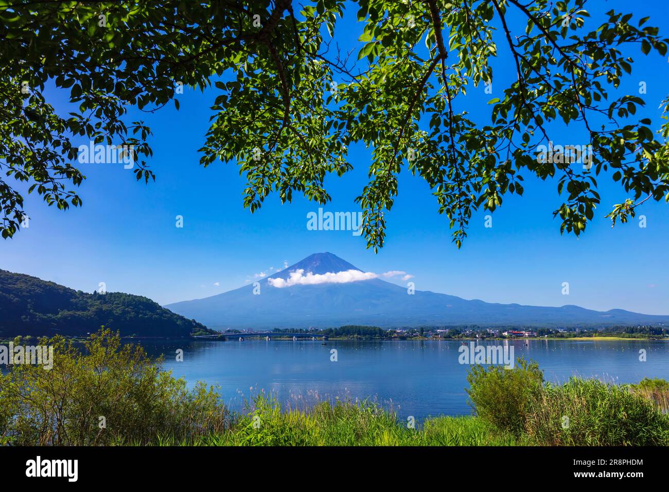 Mt. Fuji and Lake Kawaguchiko Stock Photo - Alamy