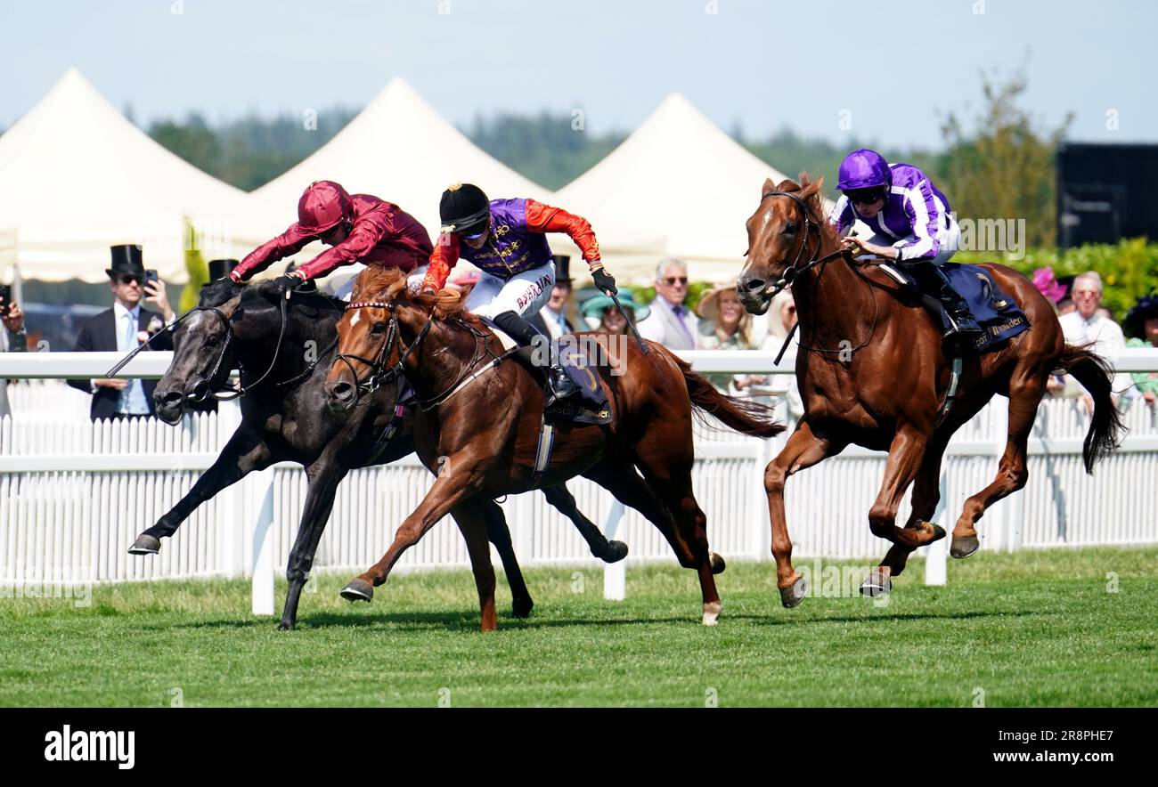 Desert hero ascot hi-res stock photography and images - Alamy