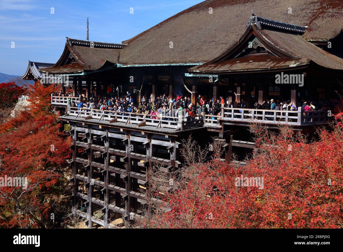 KYOTO, JAPAN - NOVEMBER 26, 2016: People visit Kiyomizu-dera Temple in ... KYOTO, JAPAN - NOVEMBER 26, 2016: People visit Kiyomizu-dera Temple in ...