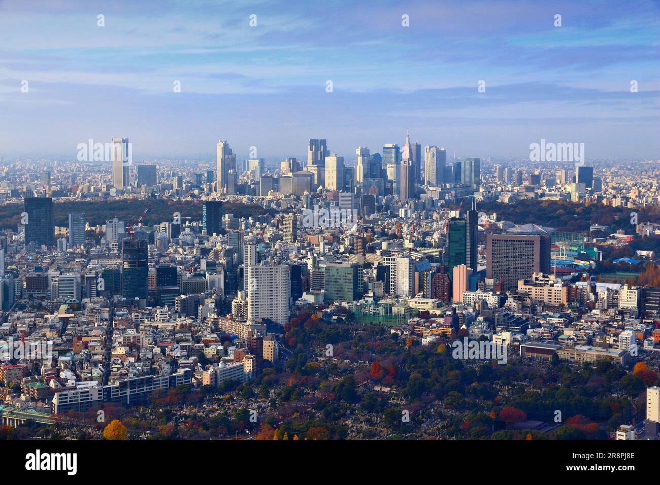 Tokyo city skyline. Japanese city view with Shinjuku, Minamiaoyama and Jingumae districts ...