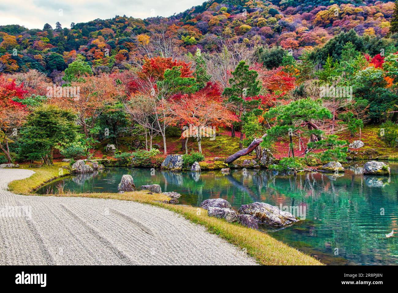 Kyoto, Japan - Tenryuji gardens in Arashiyama. Autumn leaves Stock ...