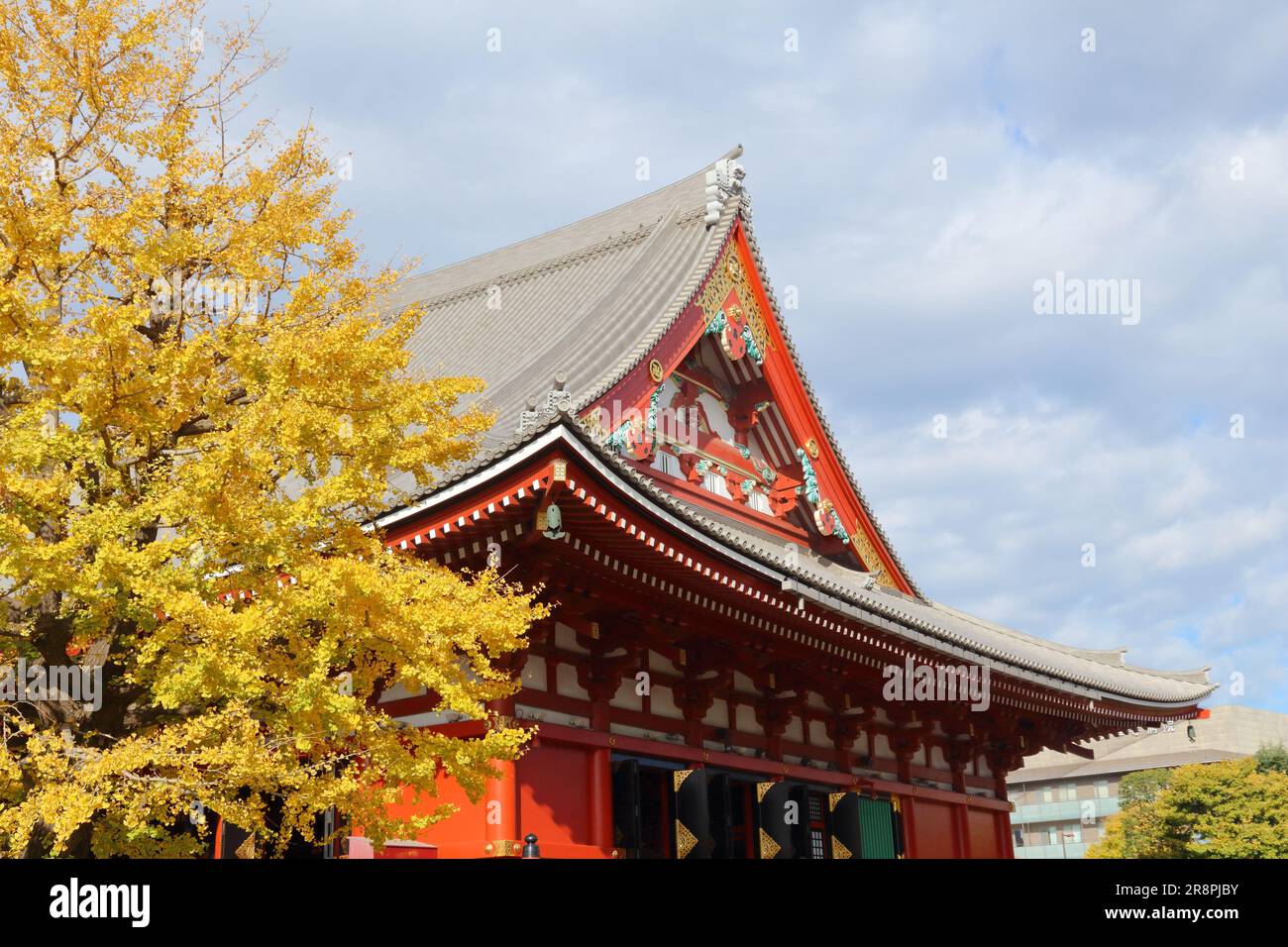 Asakusa autumn view, Tokyo - Sensoji temple. Old wooden landmark Stock ...