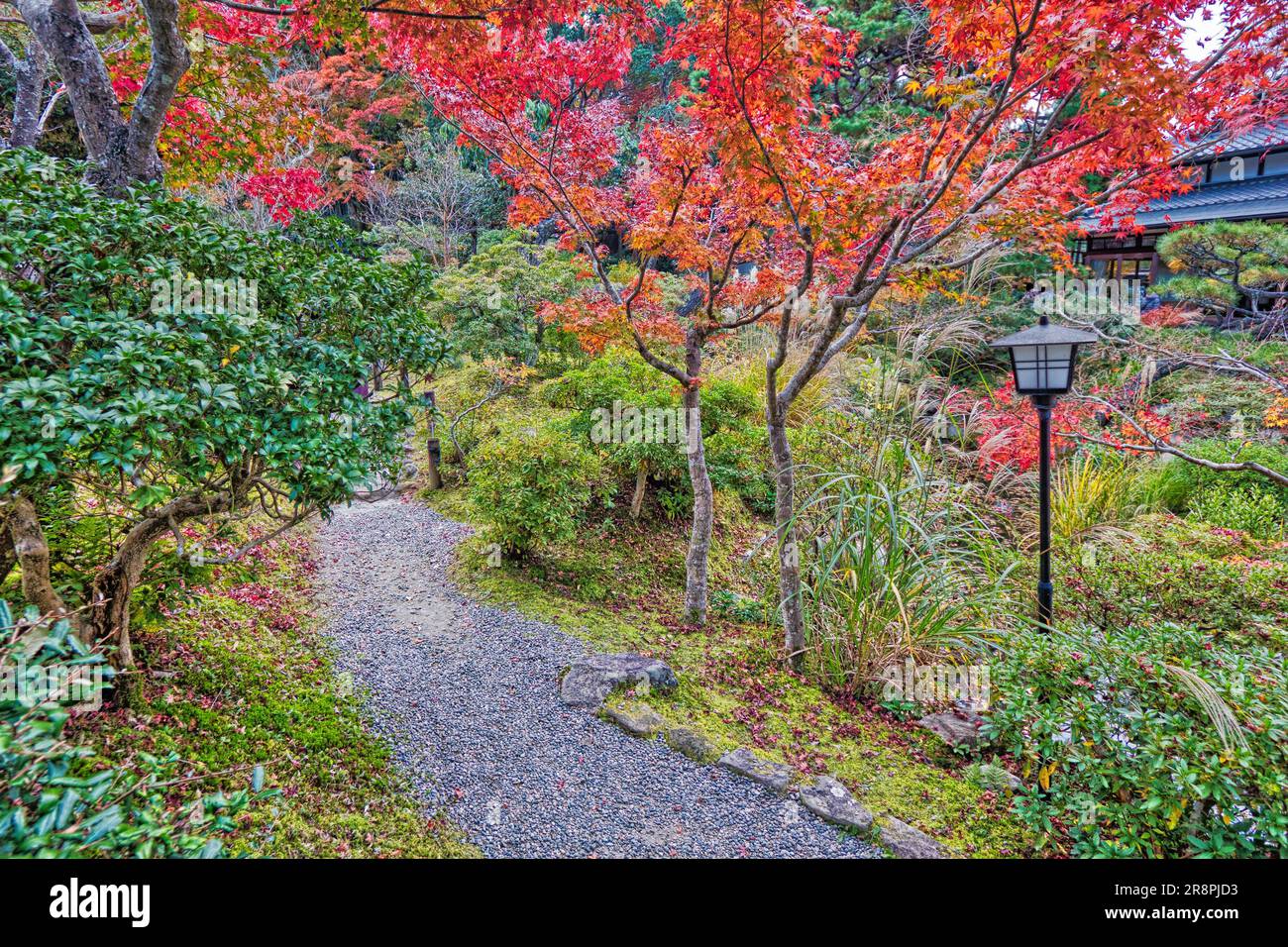Nara, Japan. Autumn colors in Japanese garden. Yoshikien Garden. HDR ...