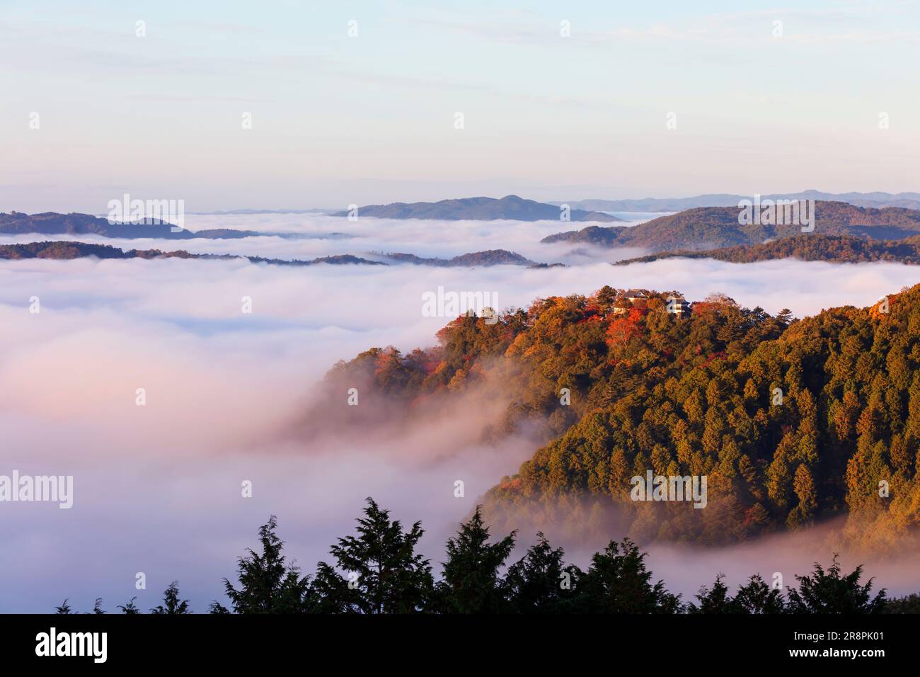 Bicchu Matsuyama Castle and Sea of Clouds Stock Photo - Alamy