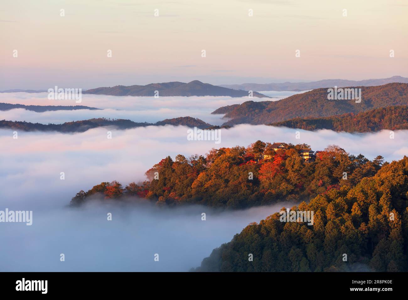 Bicchu Matsuyama Castle and Sea of Clouds Stock Photo - Alamy