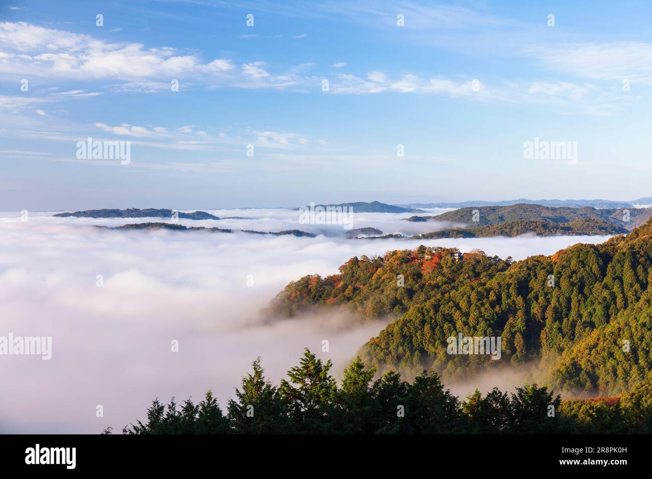Bicchu Matsuyama Castle and Sea of Clouds Stock Photo - Alamy