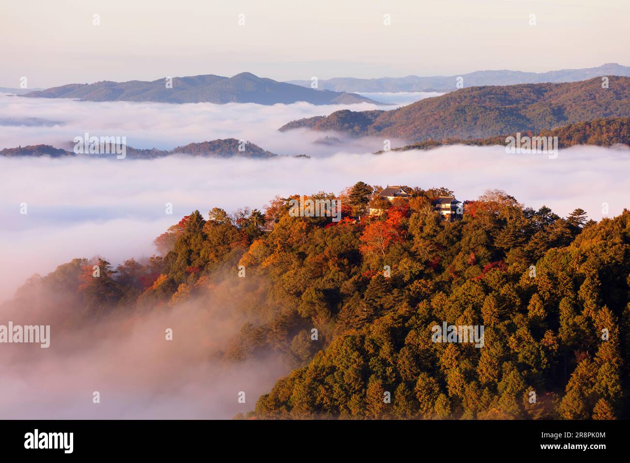 Bicchu Matsuyama Castle and Sea of Clouds Stock Photo - Alamy