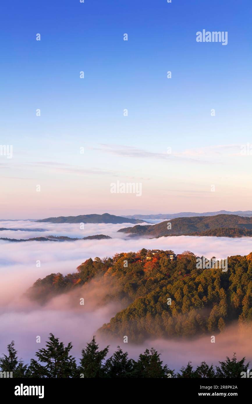 Bicchu Matsuyama Castle and Sea of Clouds Stock Photo - Alamy