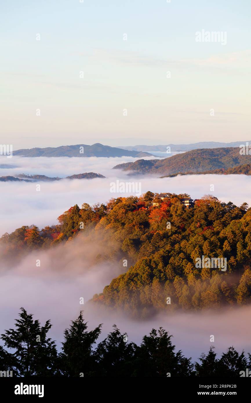 Bicchu Matsuyama Castle and Sea of Clouds Stock Photo - Alamy