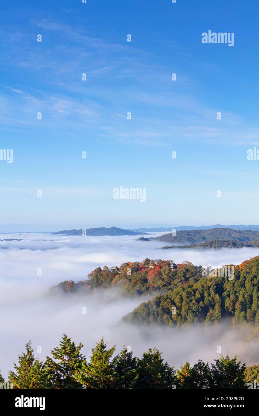 Bicchu Matsuyama Castle and Sea of Clouds Stock Photo - Alamy