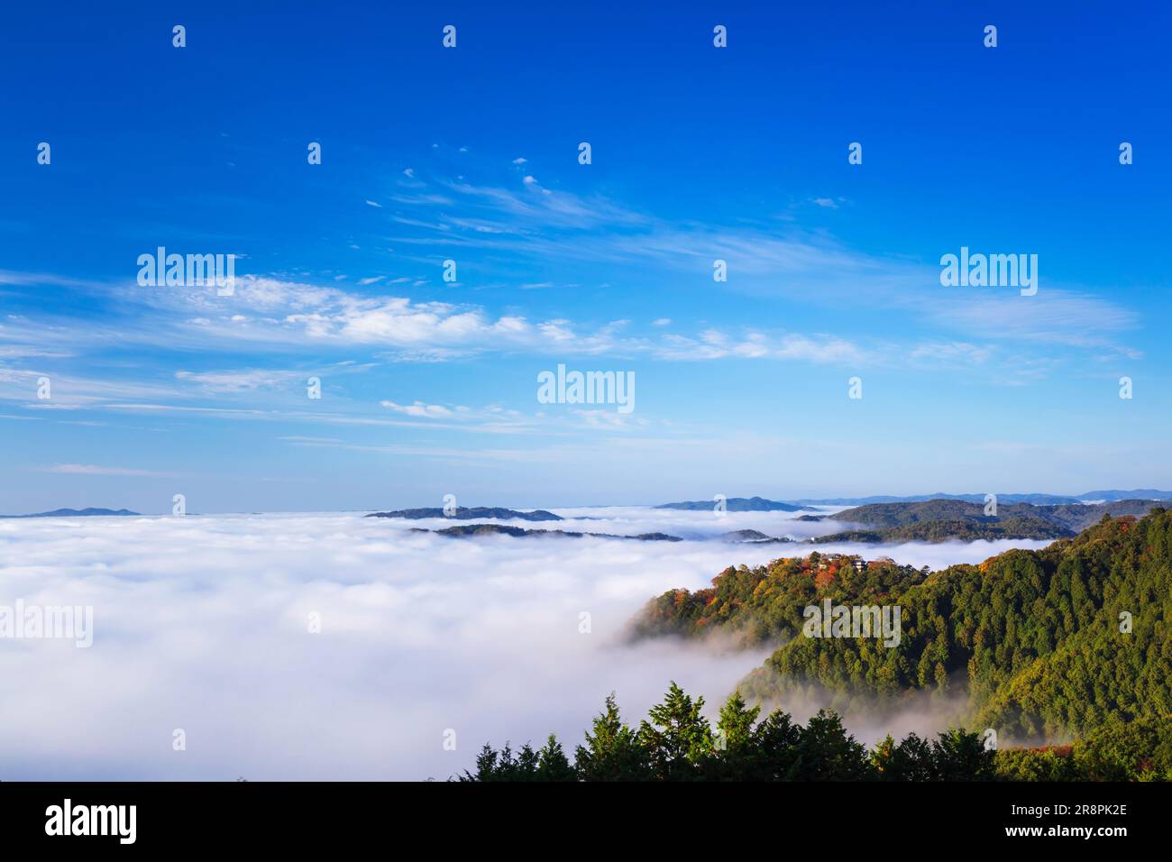 Bicchu Matsuyama Castle and Sea of Clouds Stock Photo - Alamy