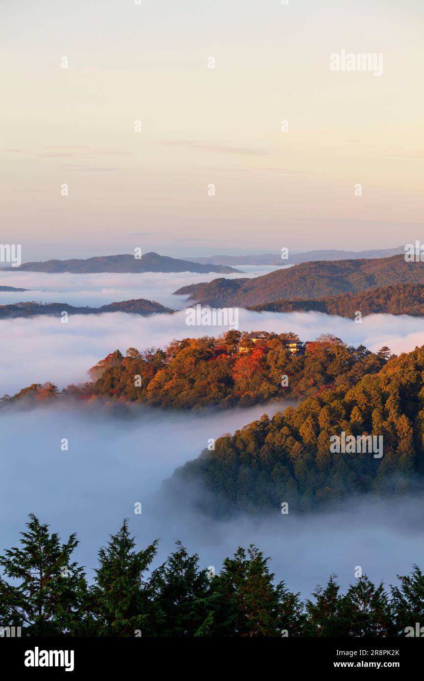 Bicchu Matsuyama Castle and Sea of Clouds Stock Photo - Alamy