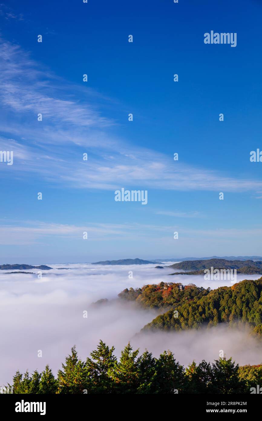 Bicchu Matsuyama Castle and Sea of Clouds Stock Photo - Alamy