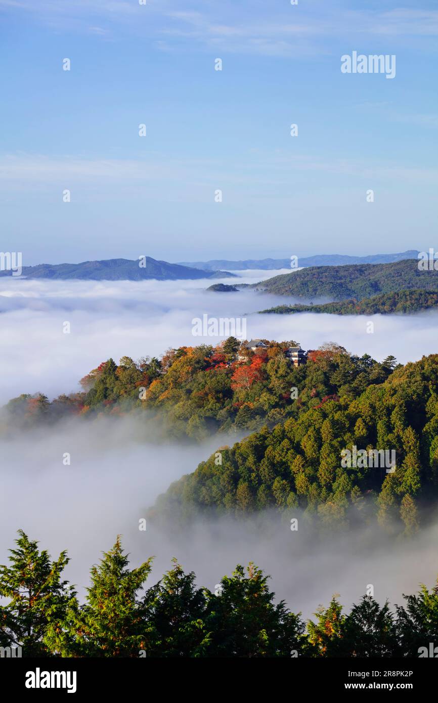 Bicchu Matsuyama Castle and Sea of Clouds Stock Photo - Alamy