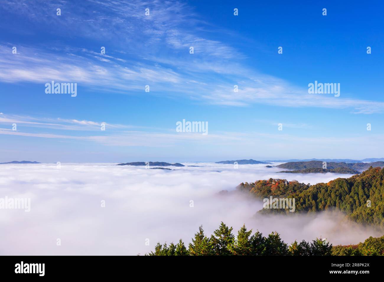 Bicchu Matsuyama Castle and Sea of Clouds Stock Photo - Alamy