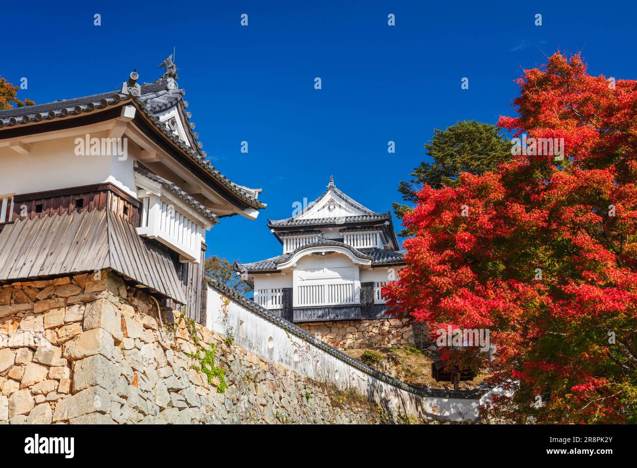 Bicchu Matsuyama Castle Stock Photo - Alamy