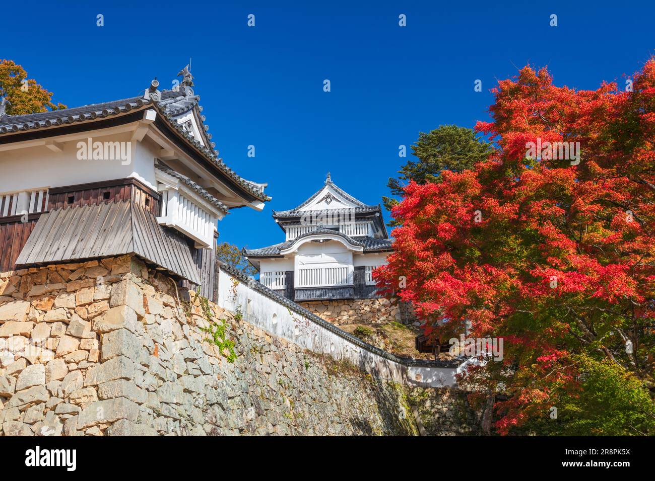 Bicchu Matsuyama Castle Stock Photo - Alamy