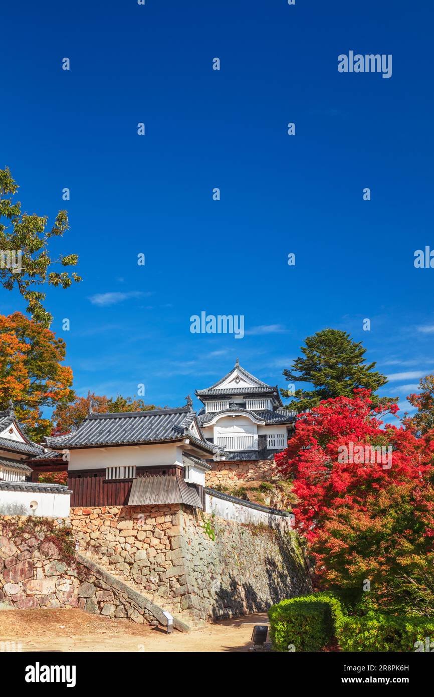 Bicchu Matsuyama Castle Stock Photo - Alamy