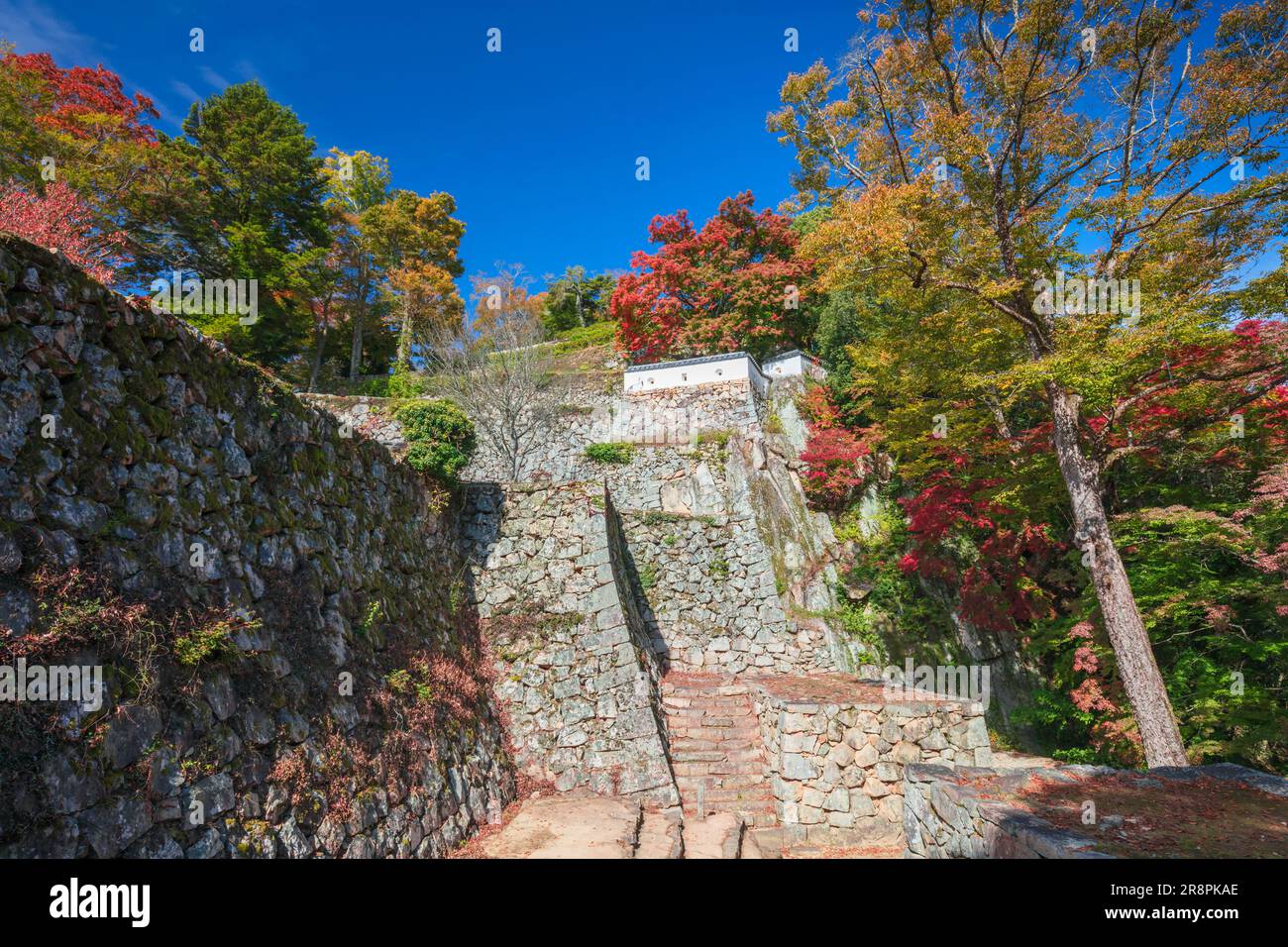 Stonewalls of Bicchu Matsuyama Castle Stock Photo - Alamy