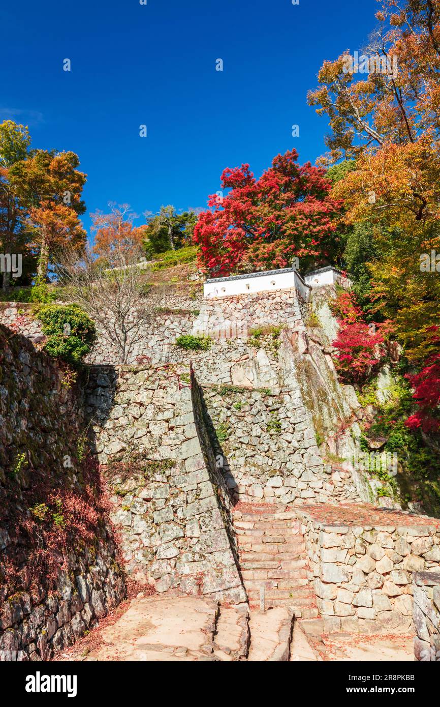 Stonewalls of Bicchu Matsuyama Castle Stock Photo - Alamy