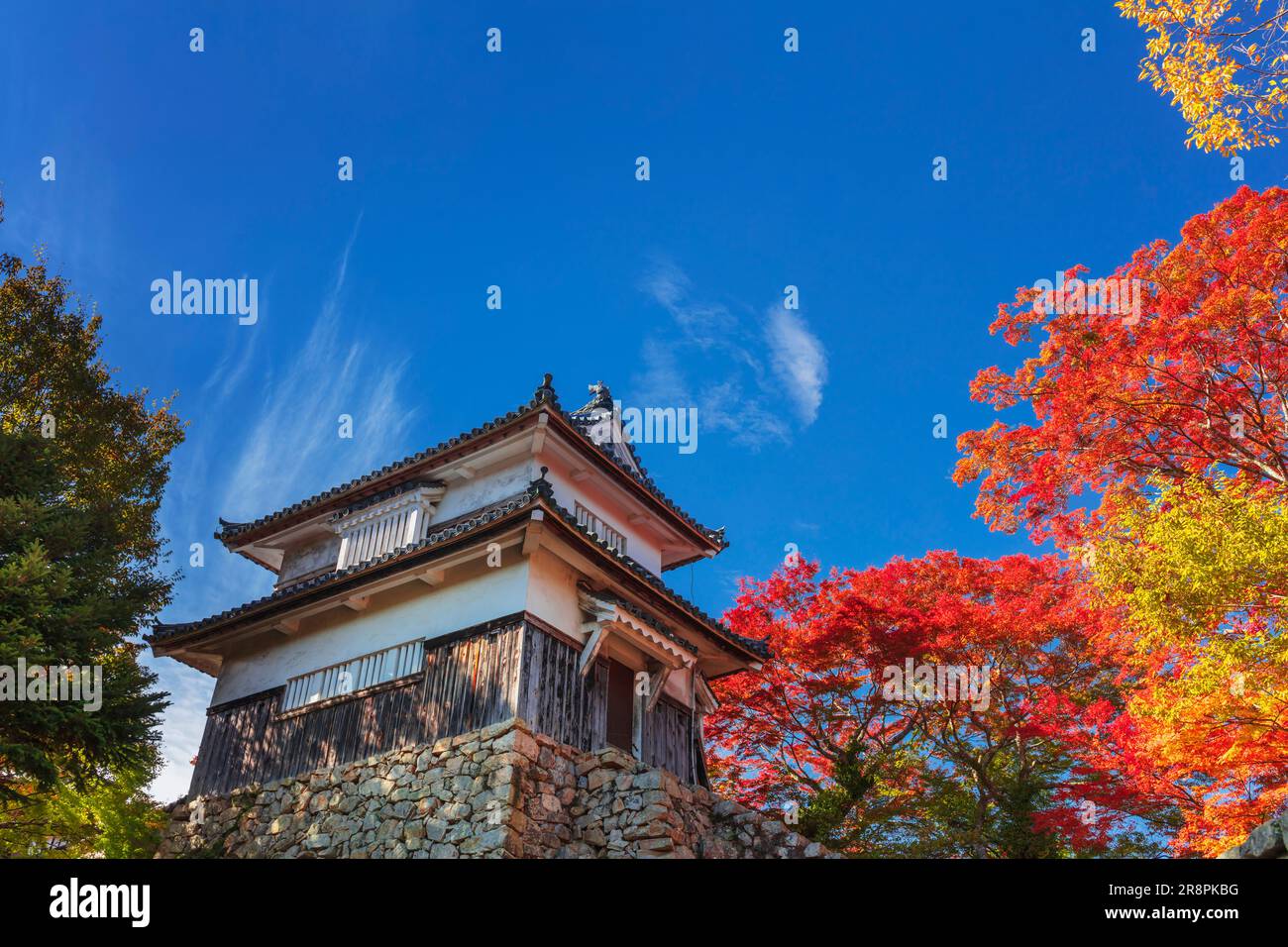 Double turret of Bicchu Matsuyama Castle Stock Photo - Alamy