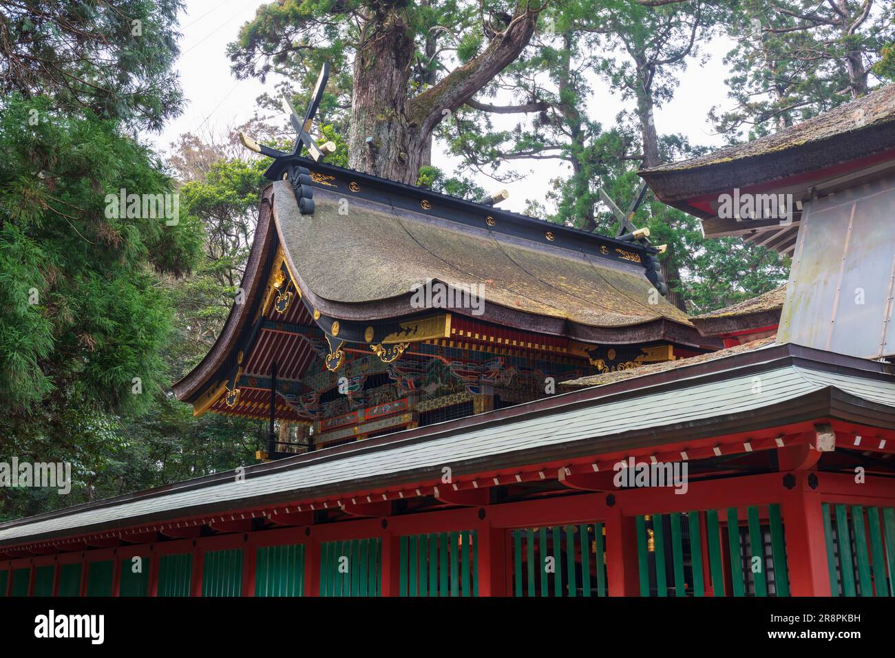 Main shrine of Kashima Jingu Stock Photo - Alamy
