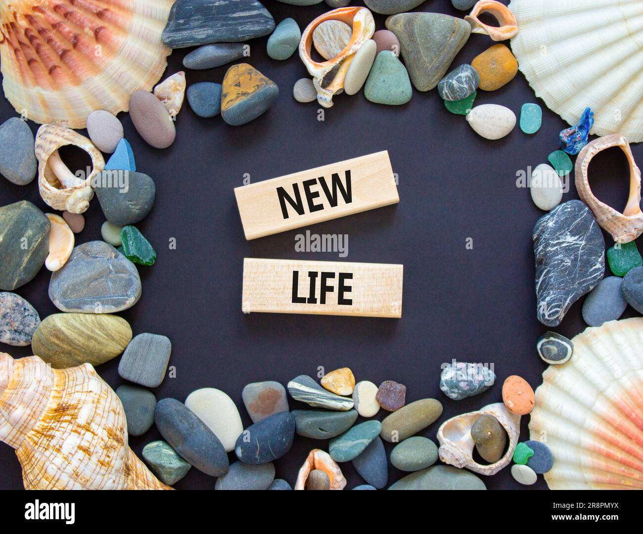 New life symbol. Concept words New life on wooden blocks on a beautiful ...