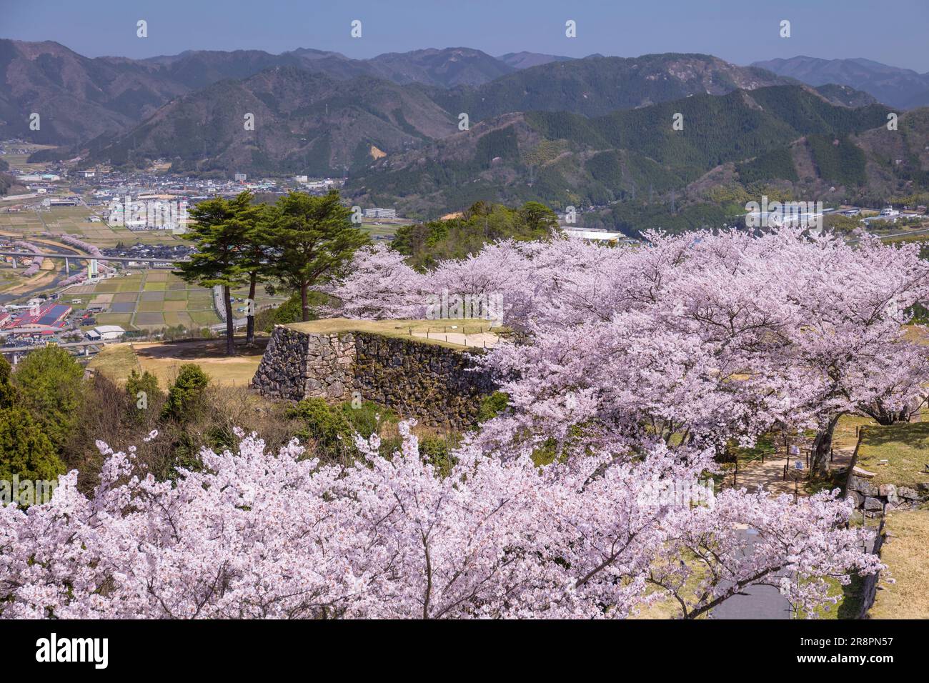 Tree hundred fine castles hi-res stock photography and images - Alamy