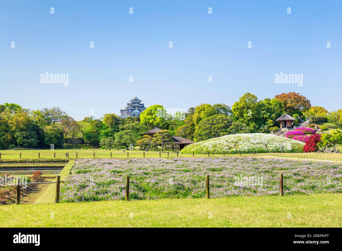 Korakuen Garden and Okayama Castle Stock Photo - Alamy