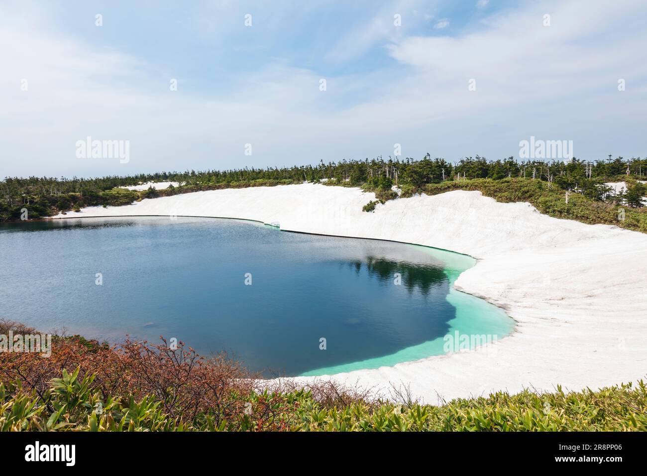 Toad Swamp in Hachimantai Stock Photo - Alamy