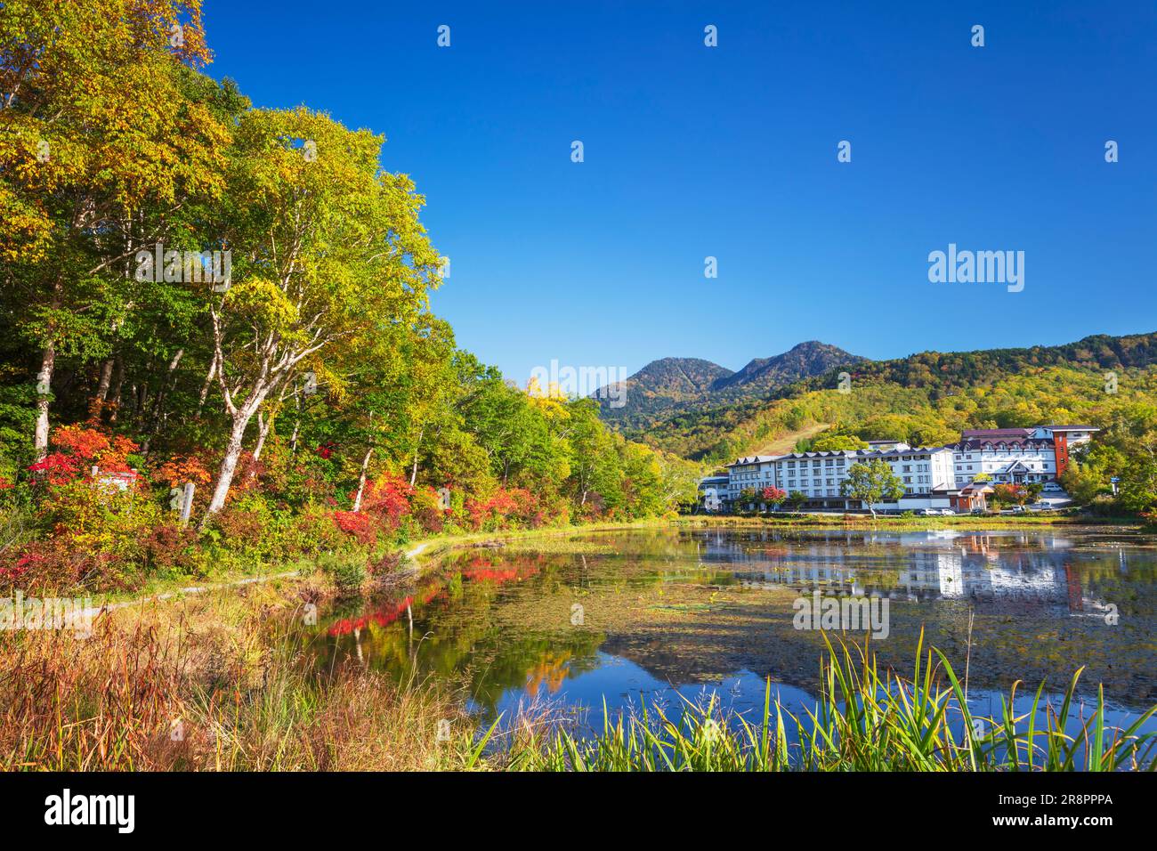 Back shigayama hi-res stock photography and images - Alamy