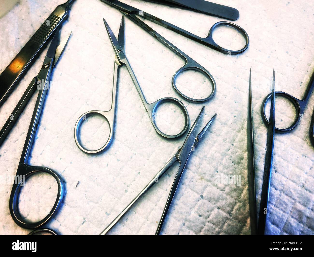 Surgical tools laid out on a sterile towel Stock Photo - Alamy