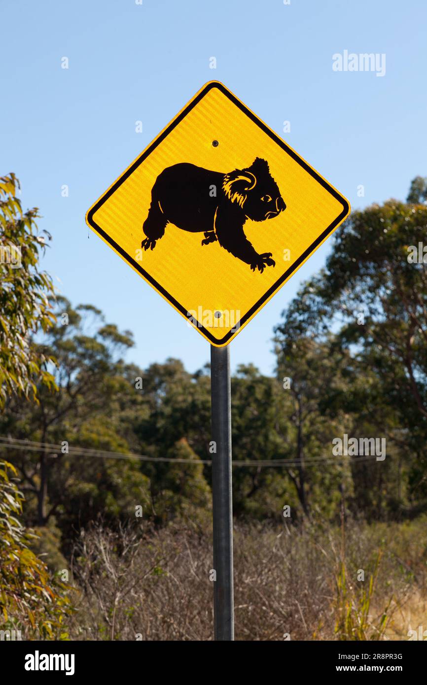 Koala Crossing Sign Koala Crossing Caution Sign Stock Photo