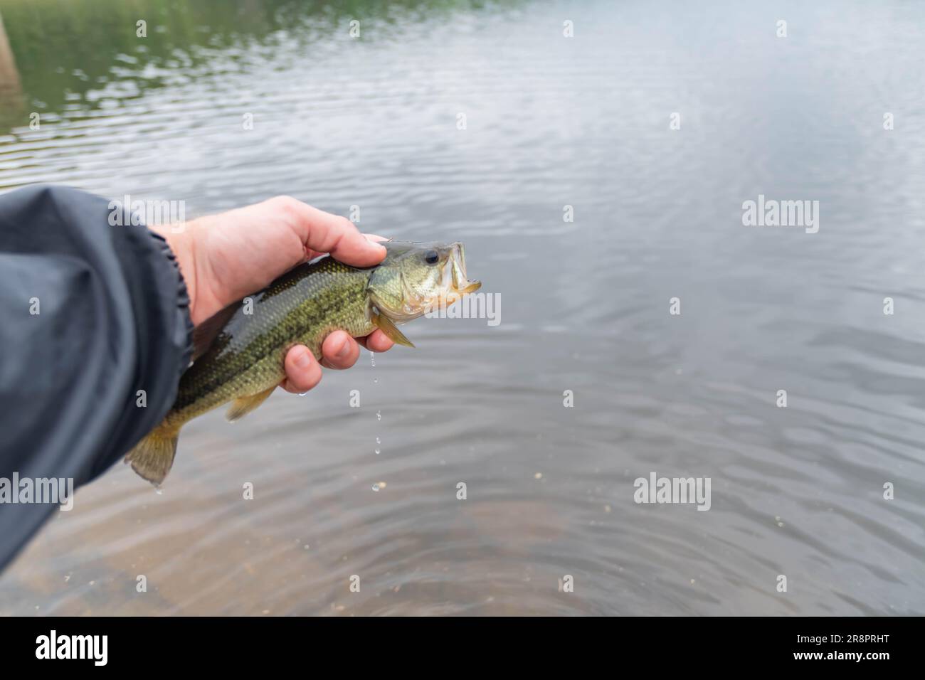 Great catch fresh water lake overcast day hobby leisure activity Stock ...