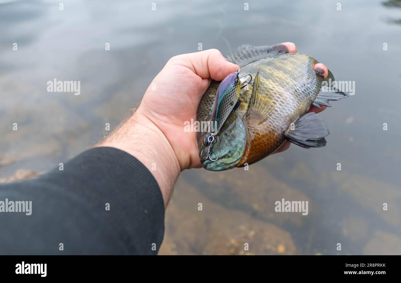 Great catch fresh water lake overcast day hobby leisure activity Stock ...