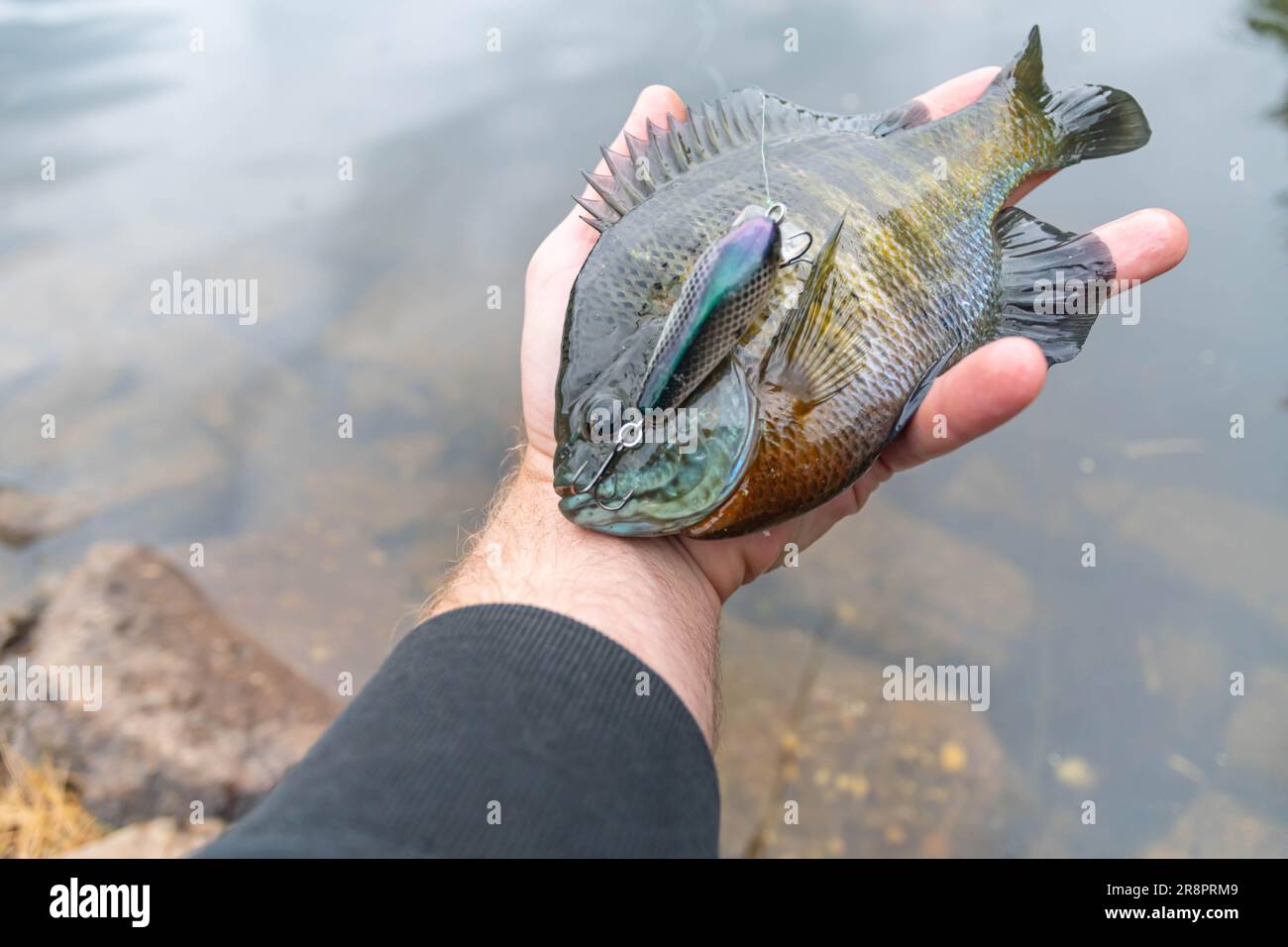 Great catch fresh water lake overcast day hobby leisure activity Stock ...