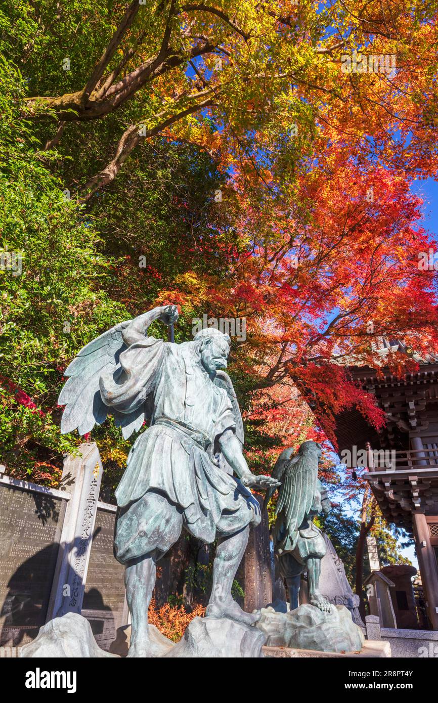 Takao Yakuoin's Gate and Tengu Statue Stock Photo - Alamy