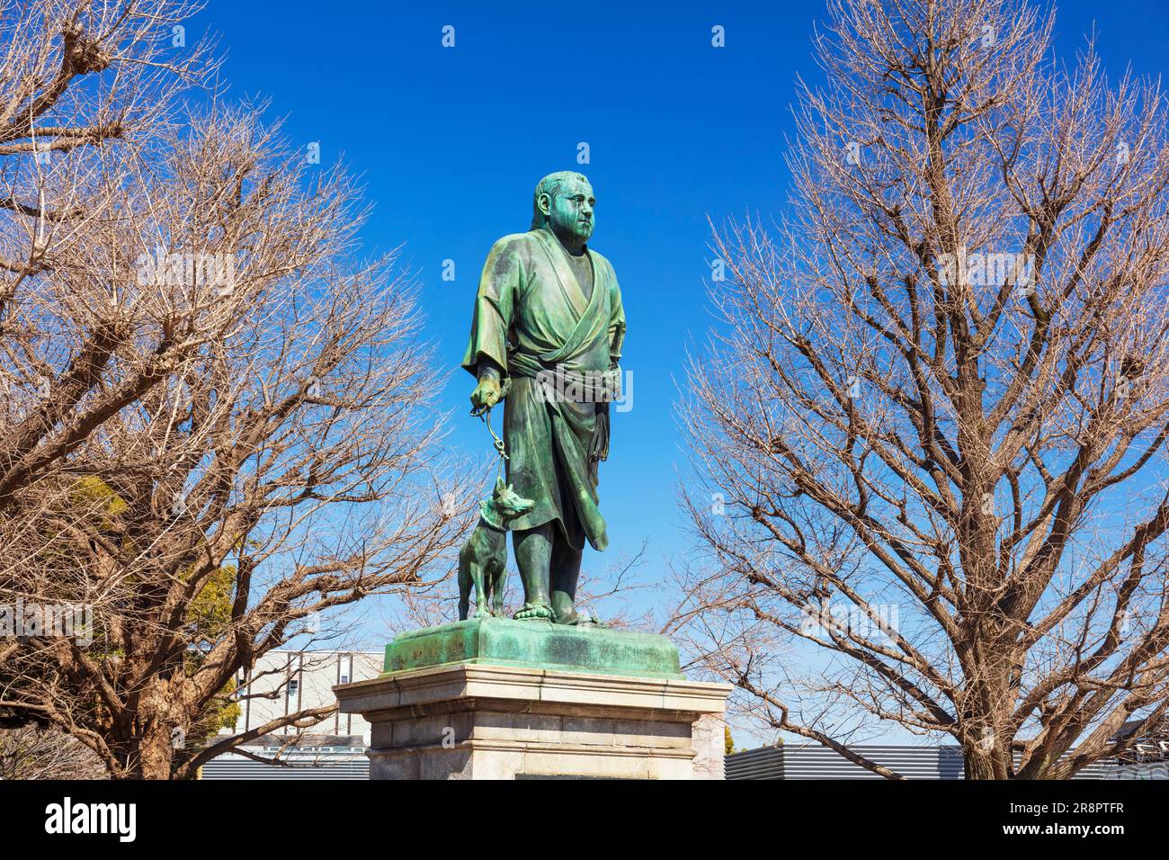 Statue of Takamori Saigo Stock Photo - Alamy